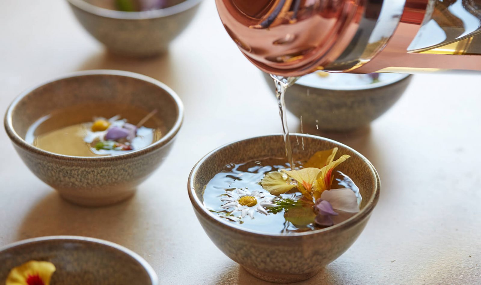 Spring Foraged Edible Plant Recipes to Craft in Your Kitchen