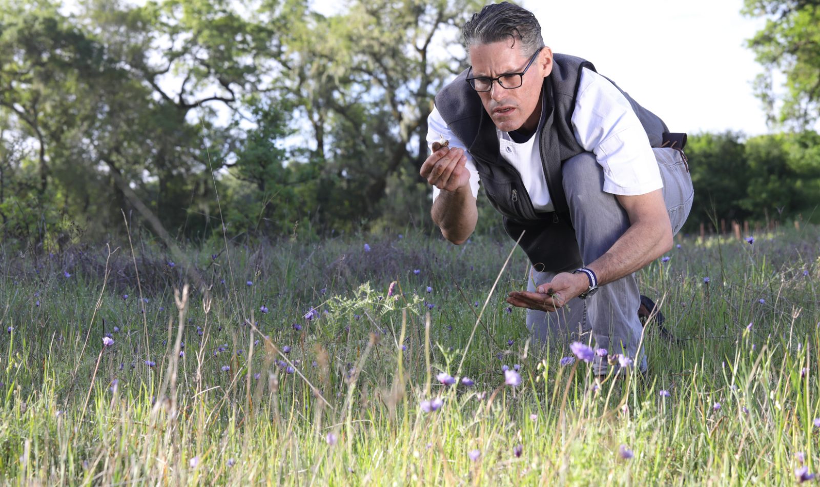 Foraging Guide | Four Foraging Tips from a Sonoma Chef