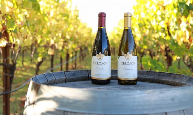 Wine Companies That Donate to Charity | Brands That Give Back