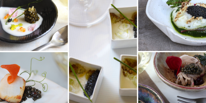 Dinner Recipe Ideas | Fun Ideas for Dinner, Lunch or Party Menus