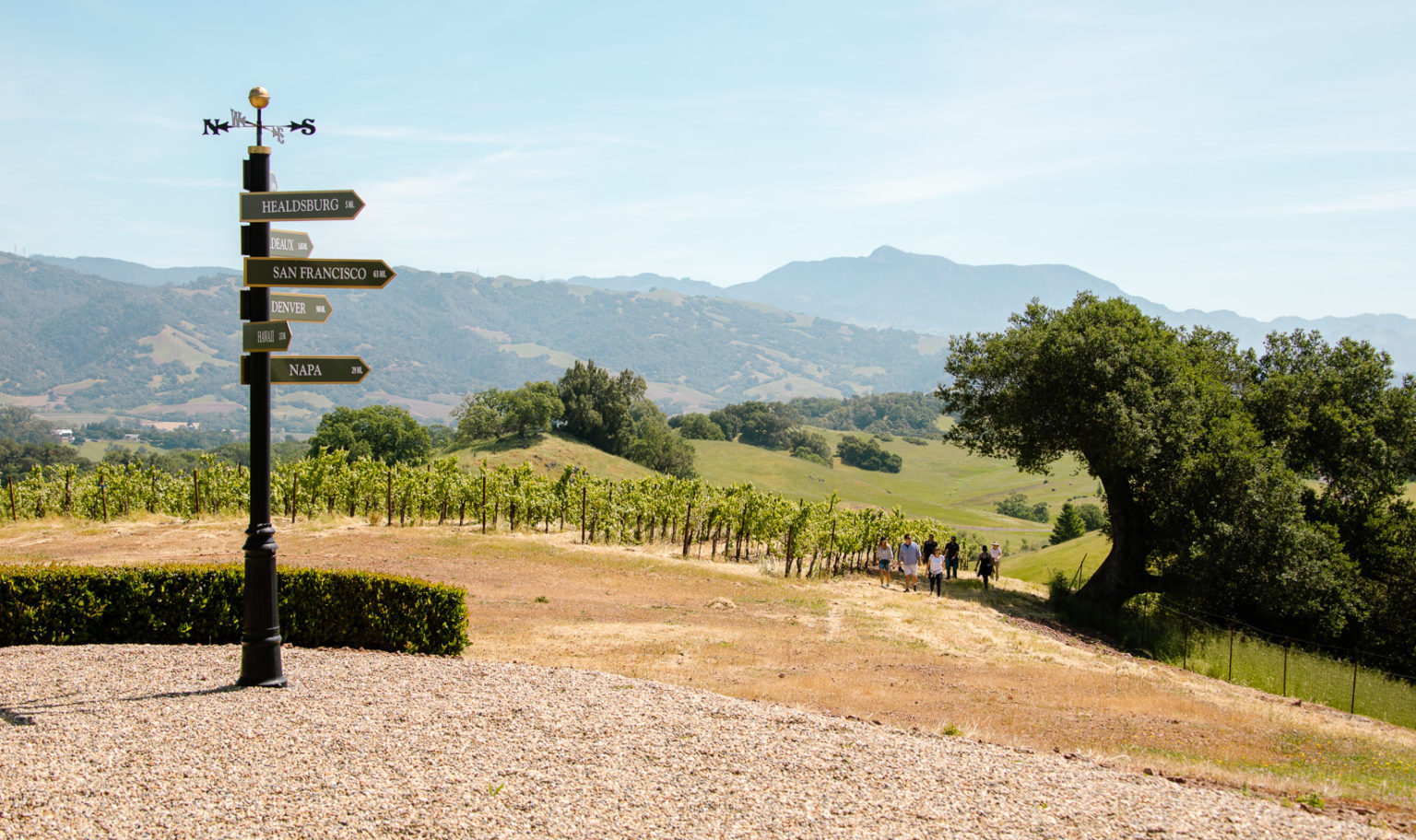 Best Hiking in Sonoma County | Vineyard Hikes with Views
