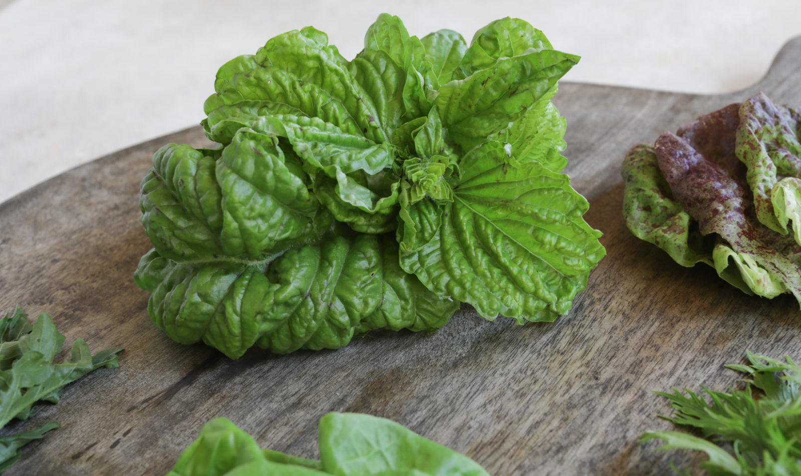 Unusual Salad Greens | Heirloom Lettuce | Wine Country Table