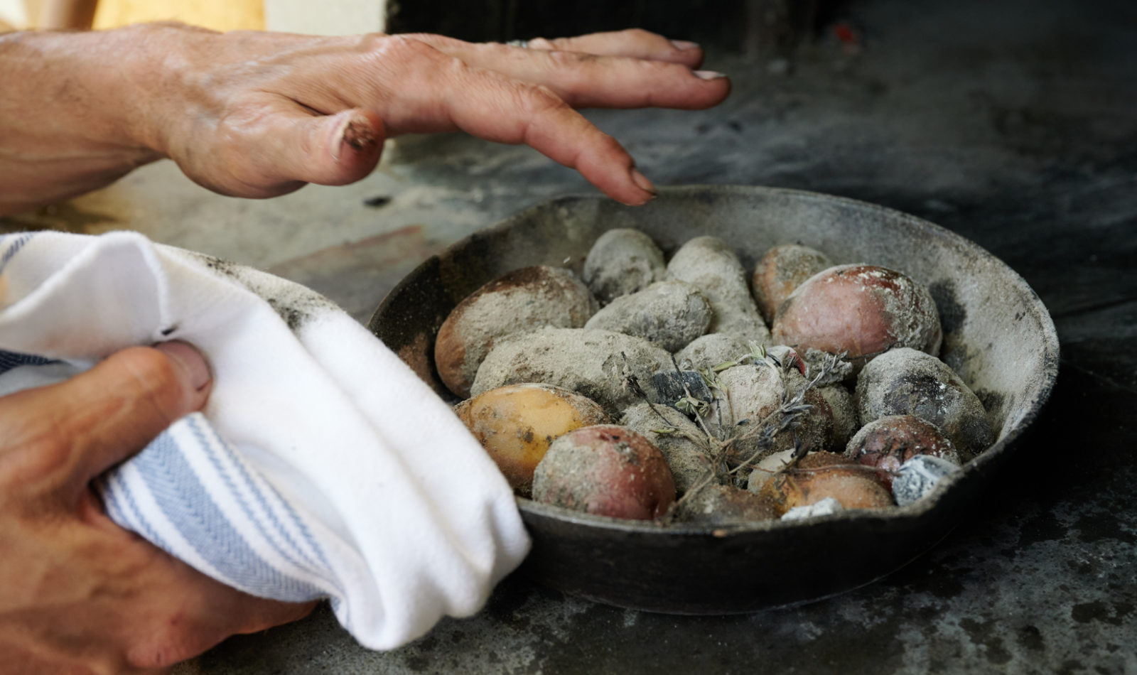 Eight Best Fuels for BBQ and Grilling | Wine Country Table